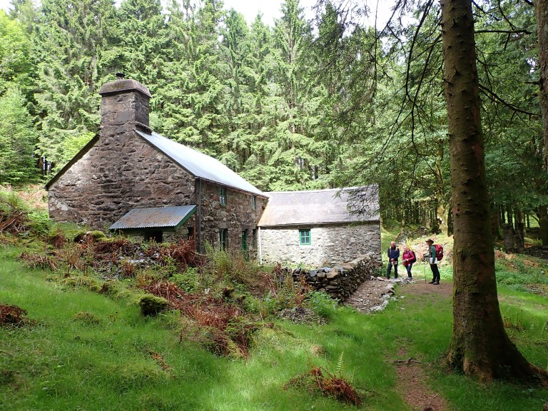 Mountain Leader Training Day 4: Forest Nav, Mountain Rescue and Penrhos ...